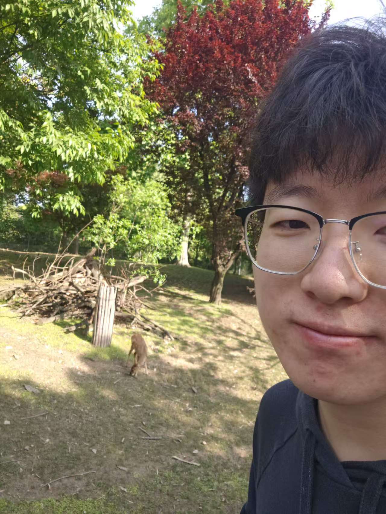 Publications - yunncheng